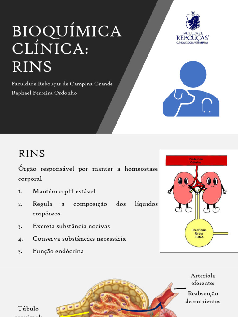 0019454_Aula_6___BioquImica_clInica___Rins | PDF | Rim | Creatinina
