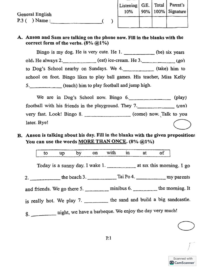 P3 1st Eng Exam 20242025 | PDF