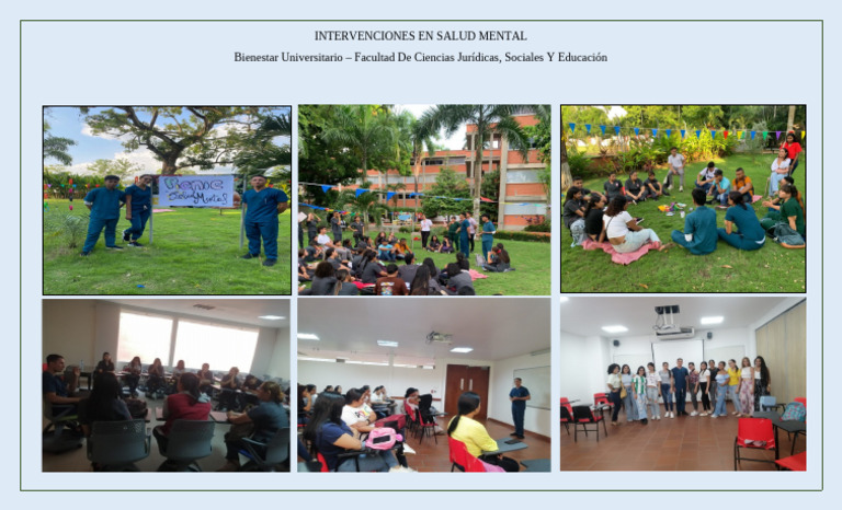 Intervenciones en Salud Mental | PDF