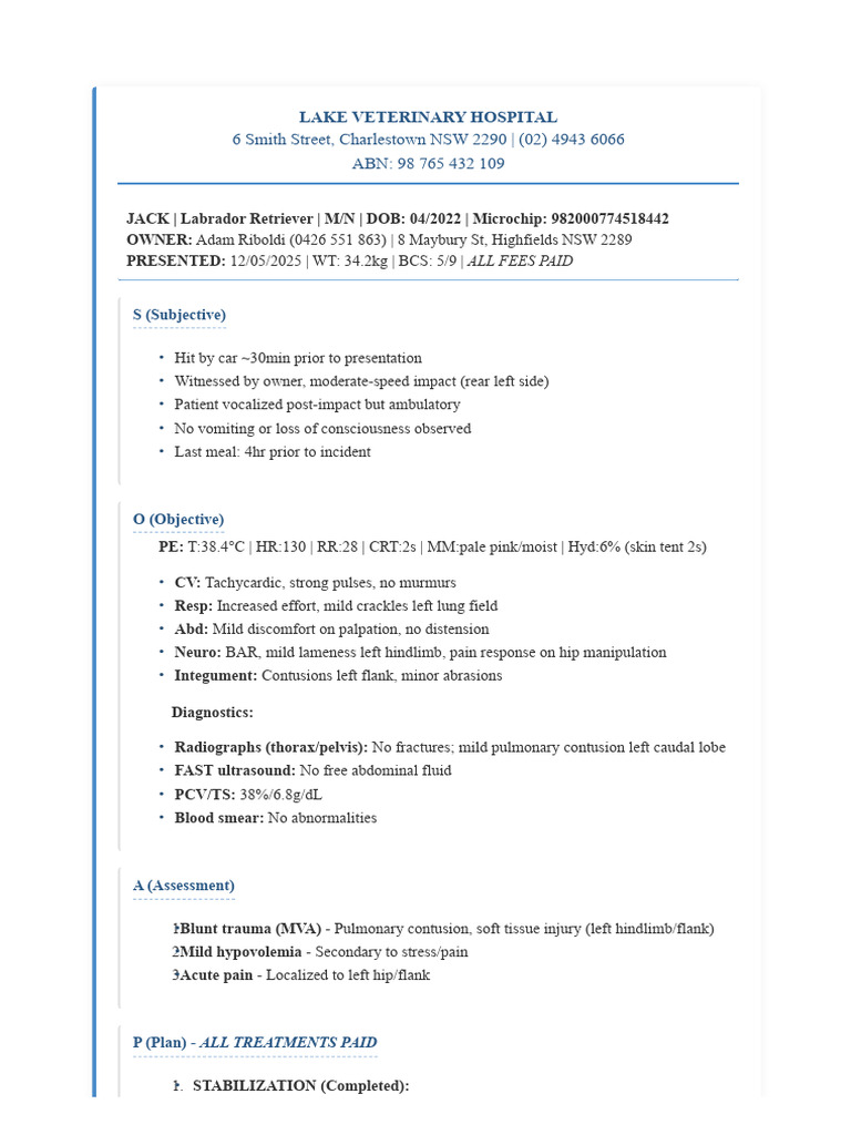 Veterinary Clinical Notes - Jack (Labrador Retriever) ... | PDF ...