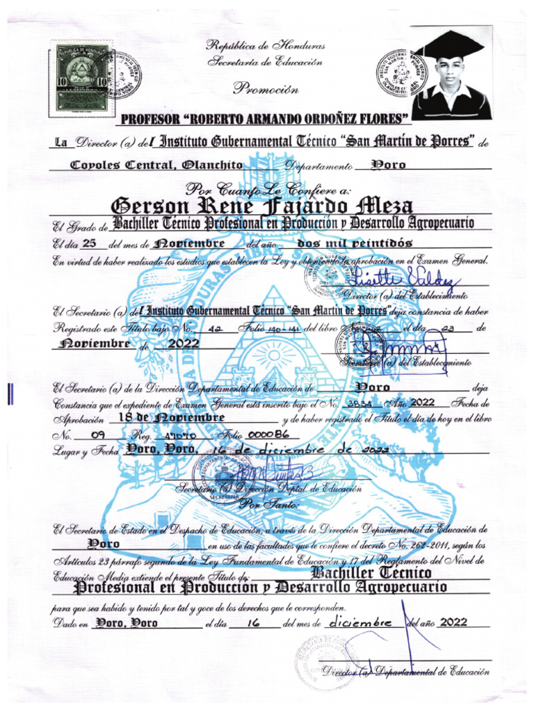 Dni y Titulo Gerson | PDF