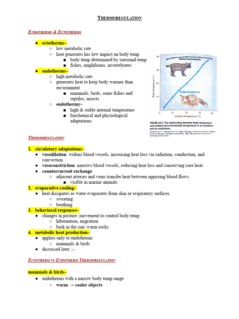 Notes #44.1 - Thermoregulation | PDF | Thermoregulation | Zoology