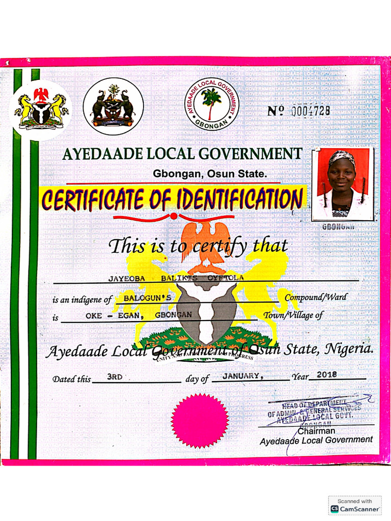 Jayeoba Balikis Local Government Identification | PDF