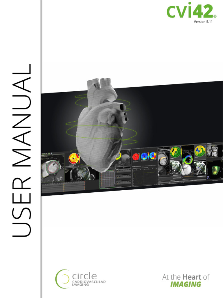 cvi42 User Manual Version 5.11 | PDF | Diastole | Ct Scan