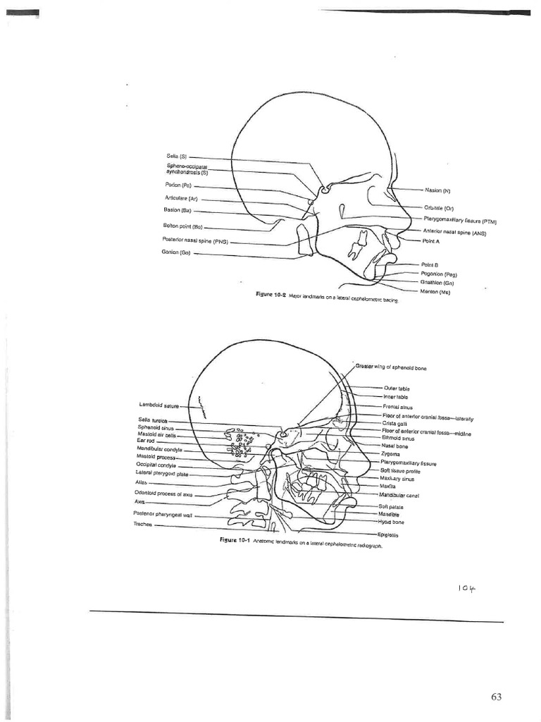 CEPH Drawings Copies | PDF