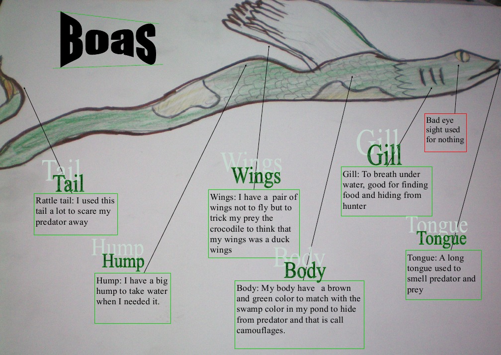 Super Boas | PDF
