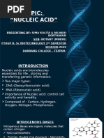Nucleic Acid | PDF | Nucleotides | Nucleic Acids