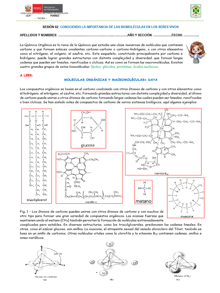 OKKKK | PDF | Lipoproteína | Péptido