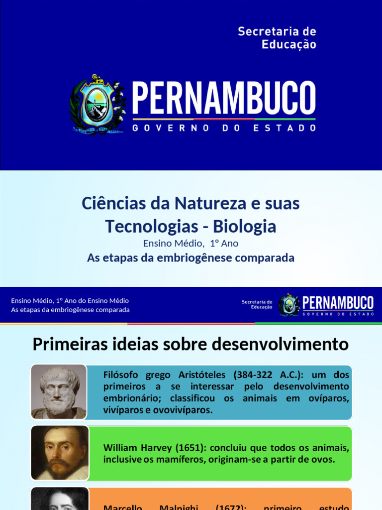 As Etapas Da Embriogênese Comparada | PDF | Gema | Ovo