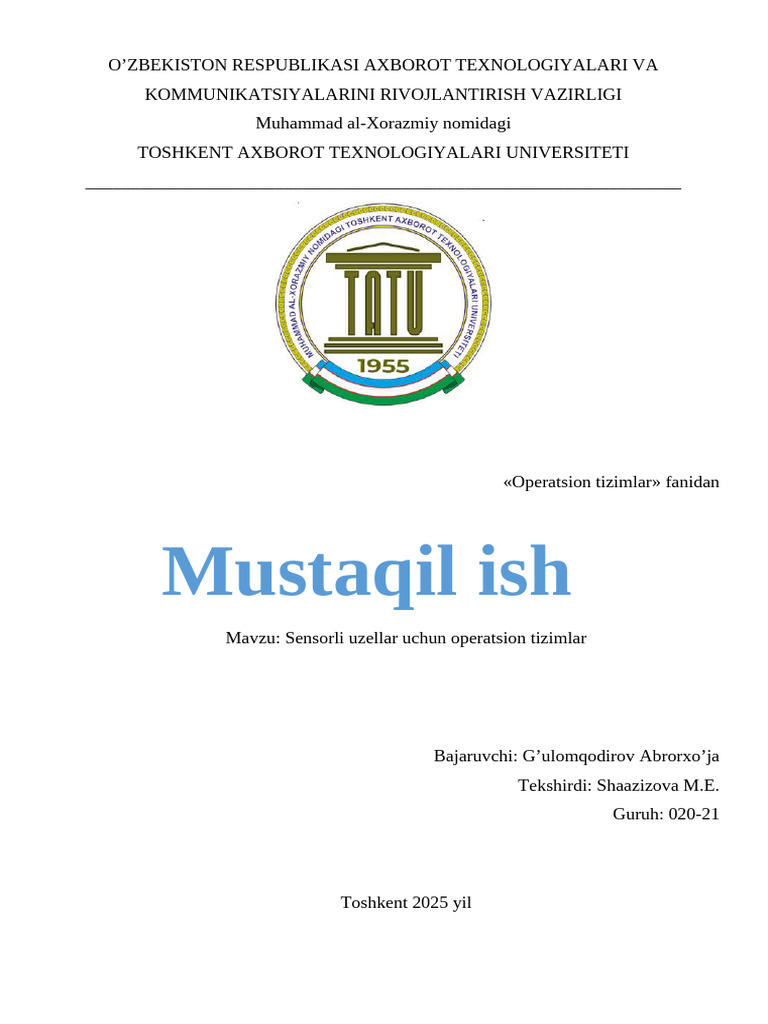 Mustaqil Ish 10-Variant | PDF