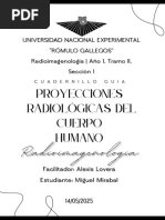 Proyecciones RX de Oído y Mastoides | PDF | Oído | Otología