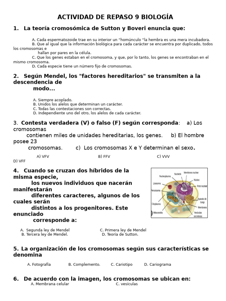 Actividad de Repaso 9 Biología | PDF | Cromosoma | Cariotipo