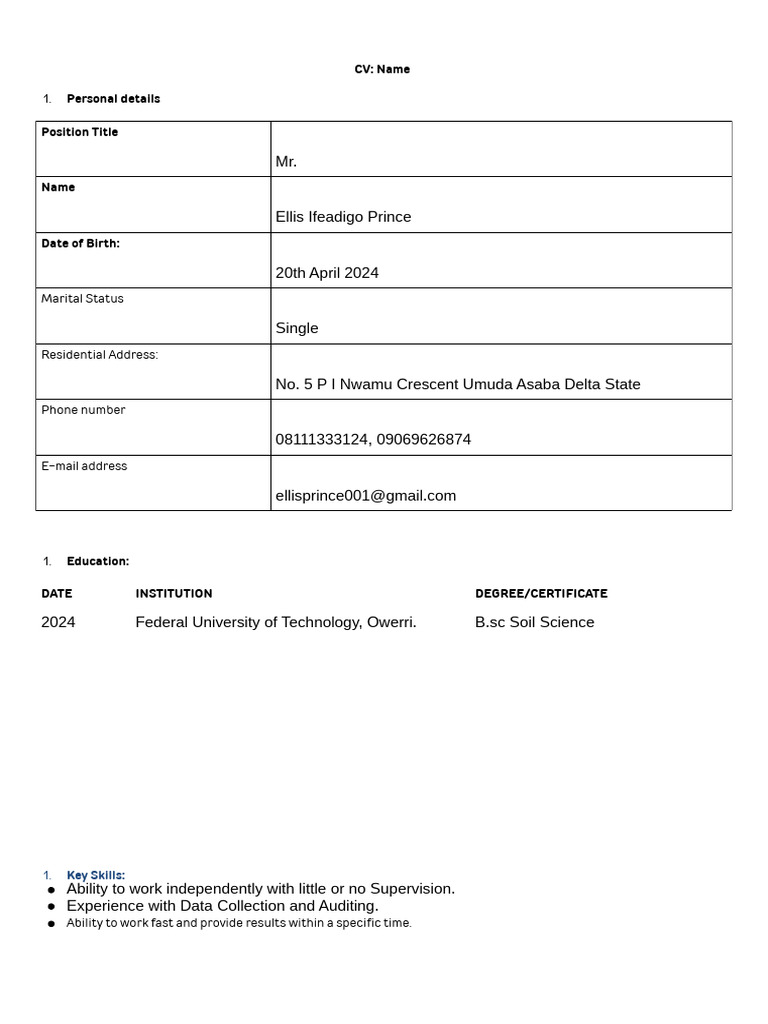 CV Template Ellis Prince Ifeadigo - Docx - 20240722 - 123953 - 0000 | PDF