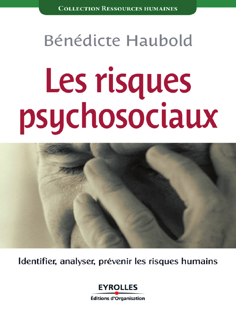 Les Risques Psychosociaux - Bénédicte Haubold | PDF