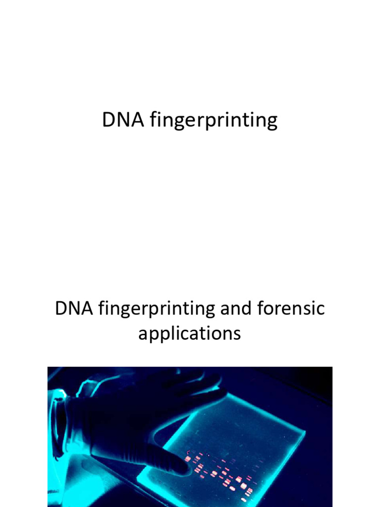 DNA Fingerprinting and Forensic Application | PDF | Dna | Dna Profiling