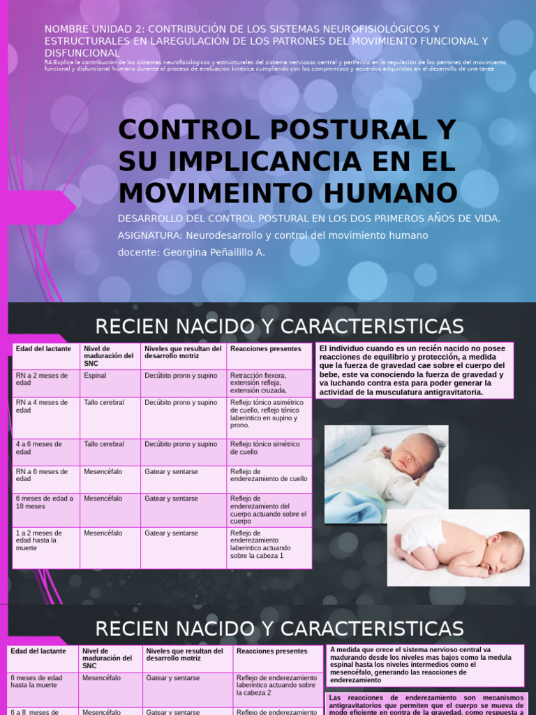 Control Postural y Su Implicancia en El Movimeinto (1) | PDF | Neurociencia | Sistema nervioso
