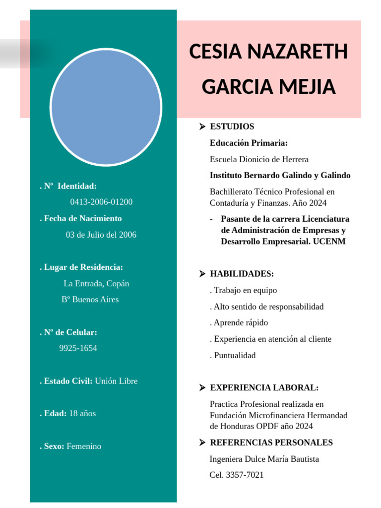 Perfil Profesional de Cesia Nazareth García | PDF