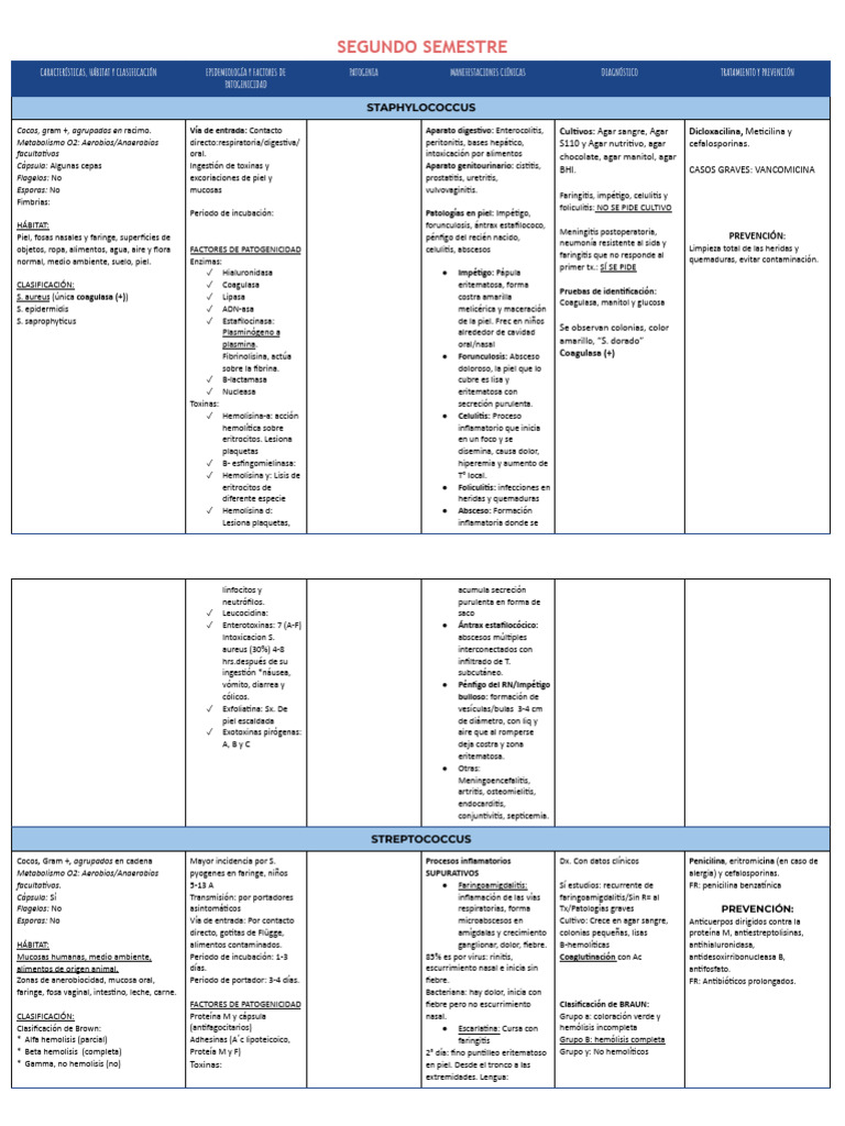 Guia micro 2do y 3er parcial - Documentos de Google | PDF | Escherichia coli | Diarrea