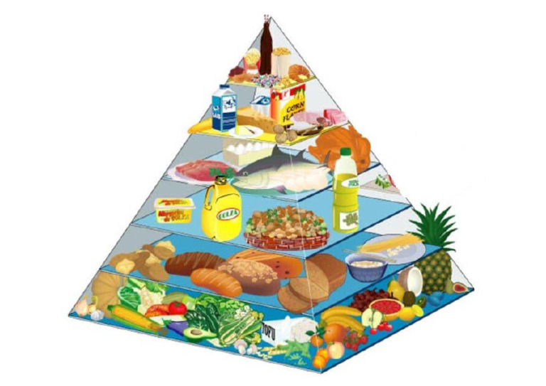 pyramide alimentaire | PDF