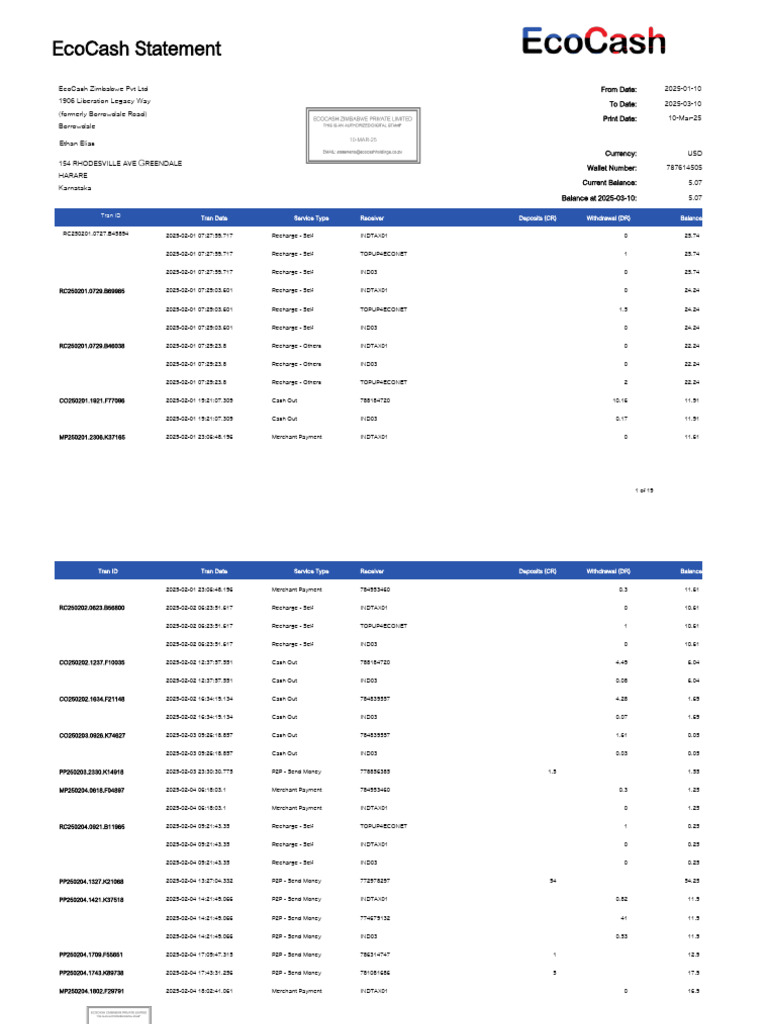 Ecocash Statement 1741598074218 | PDF | Cash | Money