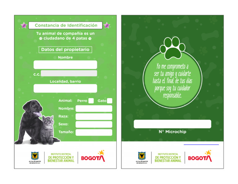 Maria Daniela Palomino Ortiz: Venus | PDF