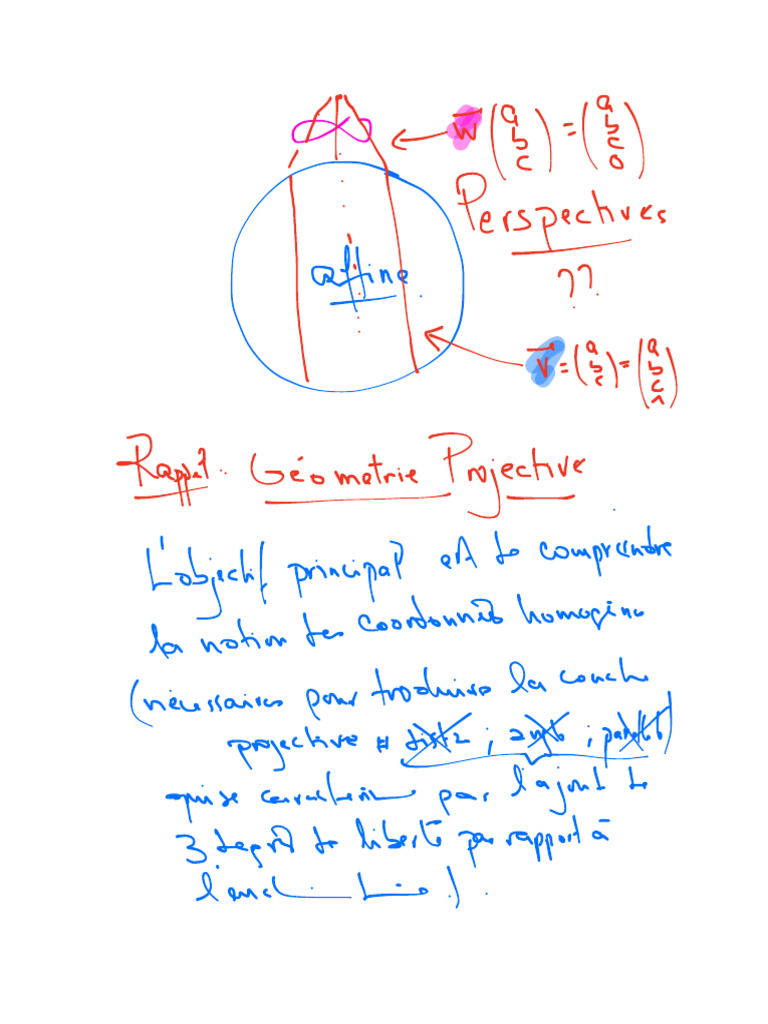 Exercices de géométrie projective | PDF