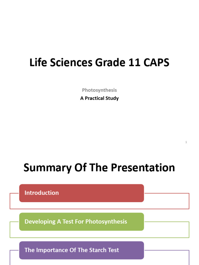 Photosynthesis Practical Guide | PDF | Photosynthesis | Leaf