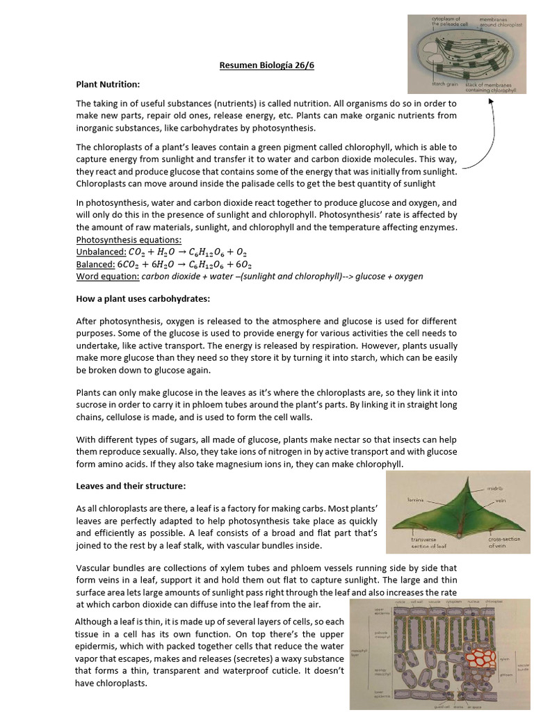 Plant Nutrition and Photosynthesis Guide | PDF | Leaf | Photosynthesis