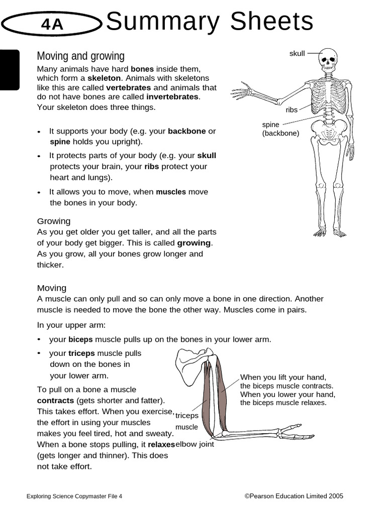 Science 4a Moving and Growing | PDF