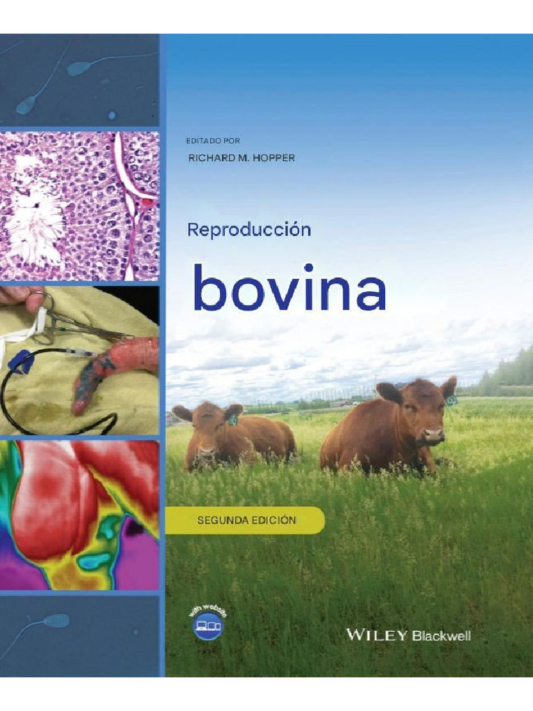 Reproducción Bovina 250407 124859 | PDF | Publicación | Doctorado