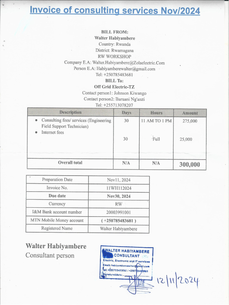 Invoice Nov 2024 | PDF