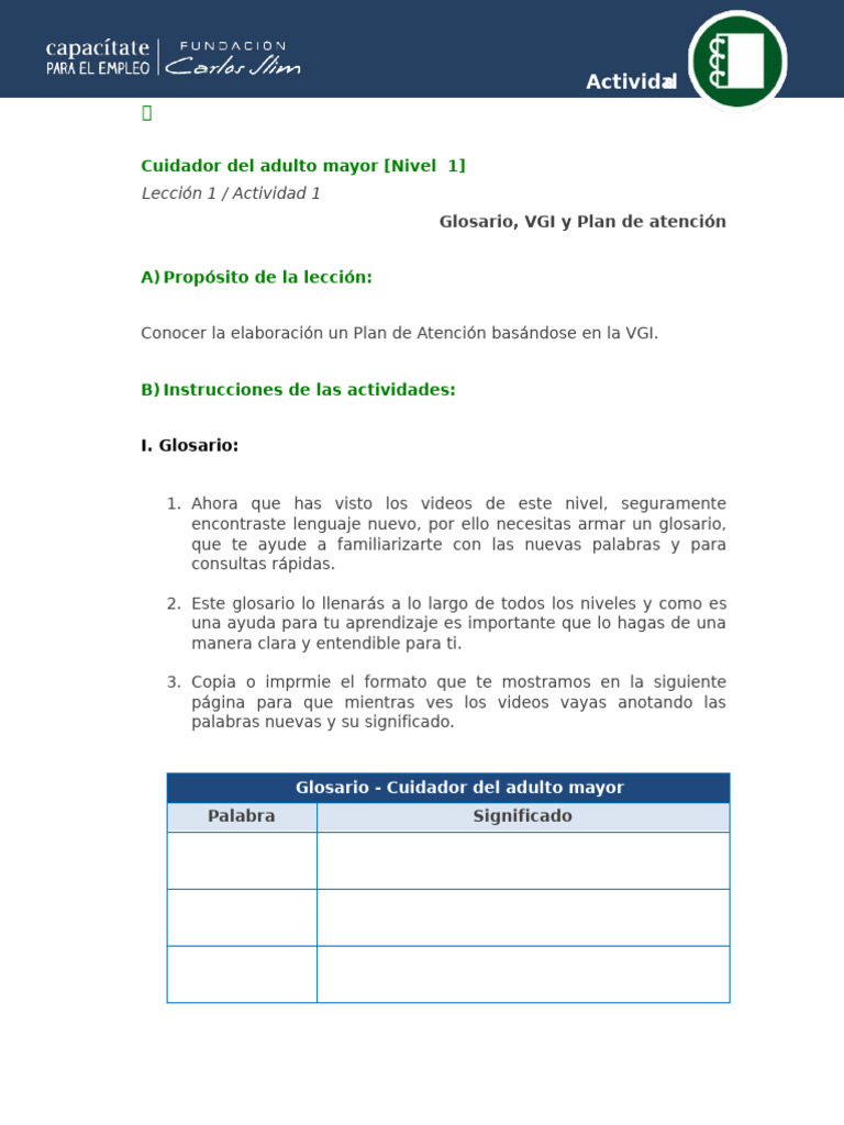 Glosario, VGI y Plan de Atención | PDF | Medicamentos con receta