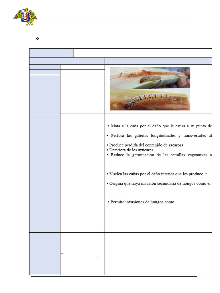 2, Ento | PDF | Crisálida | Caña de azúcar