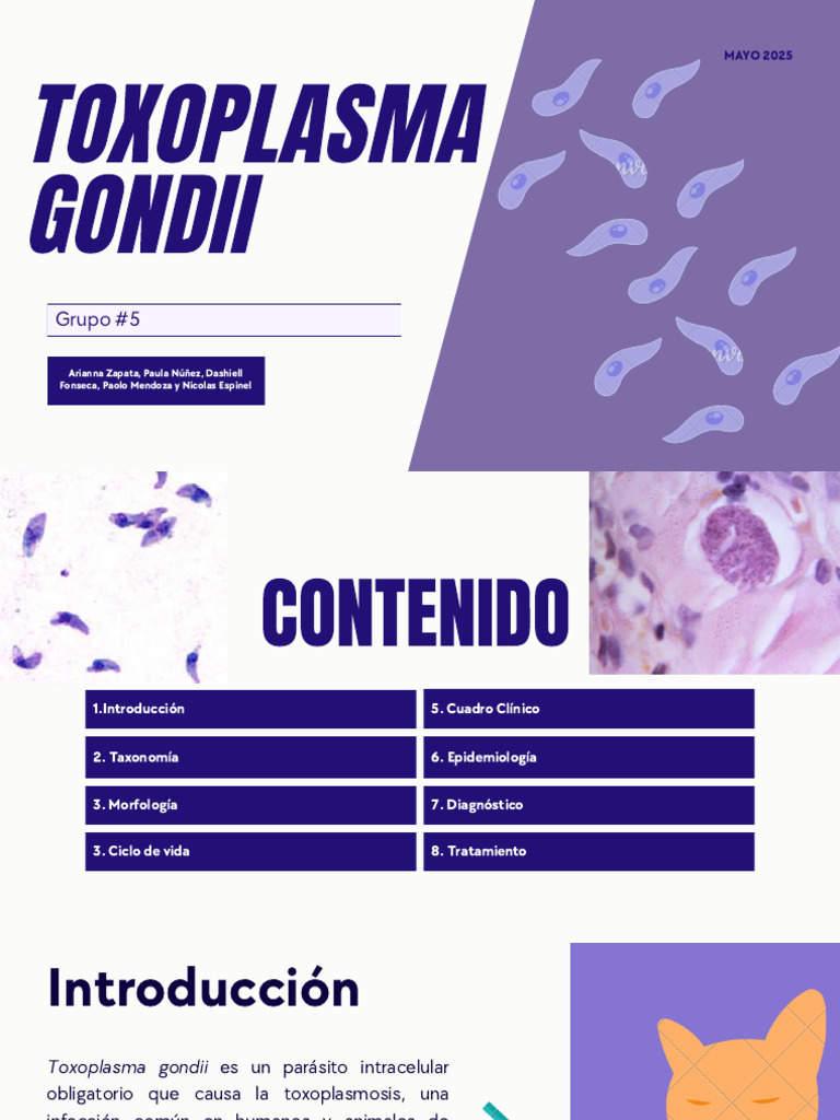 Toxoplasma 2 | PDF | Biología