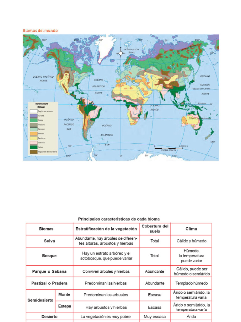 biomas del mundo | PDF
