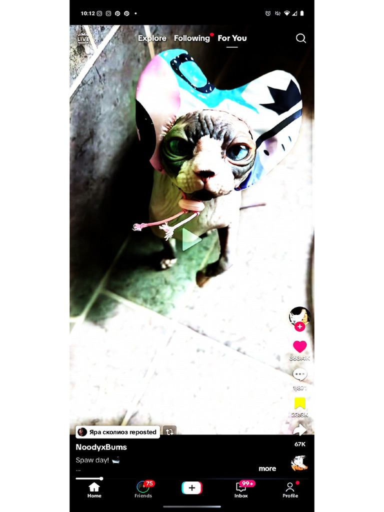 PDFReader 20250517 2023 | PDF