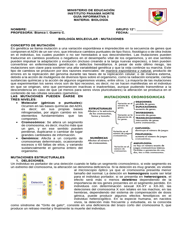 Guia Informativa 3 Mutaciones | PDF | Mutación | Cromosoma