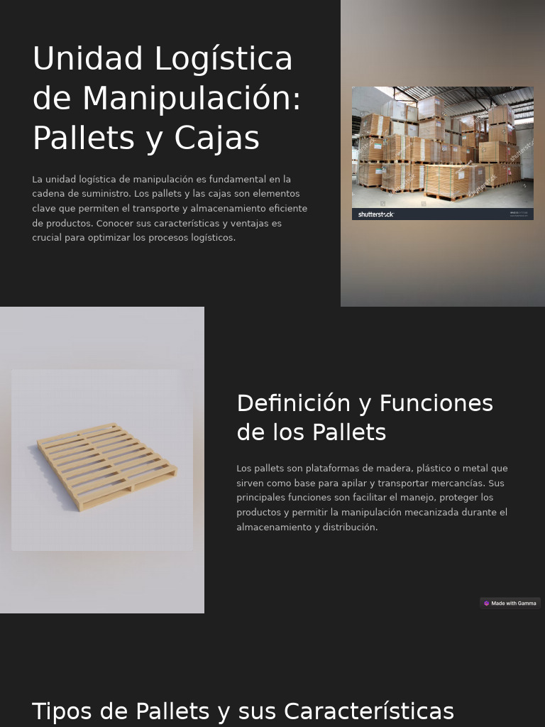 Unidad Logistica de Manipulacion Pallets y Cajas Expo | PDF | Logística | Almacén