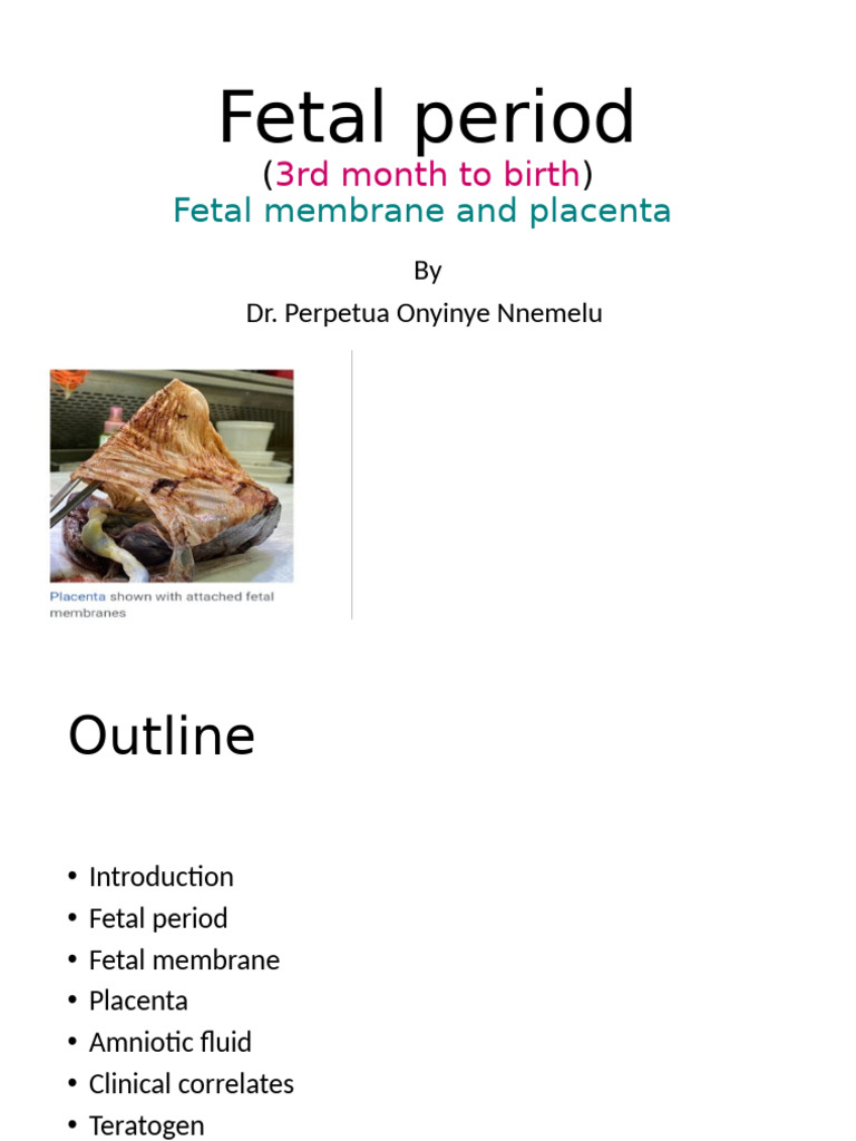 Embryo Fetal period-WPS Office | PDF | Fetus | Pregnancy