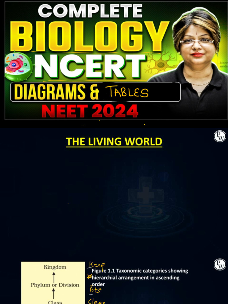 Lecture of Biology Class 11 | PDF