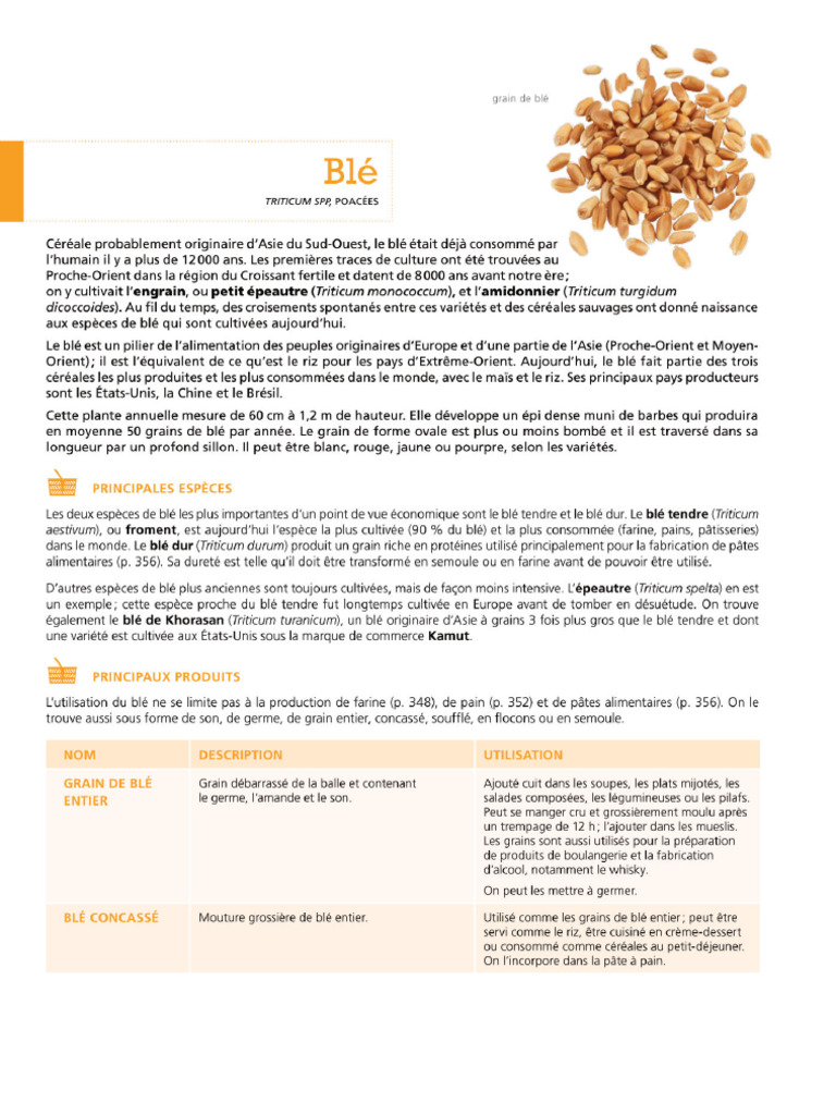 Blé | PDF
