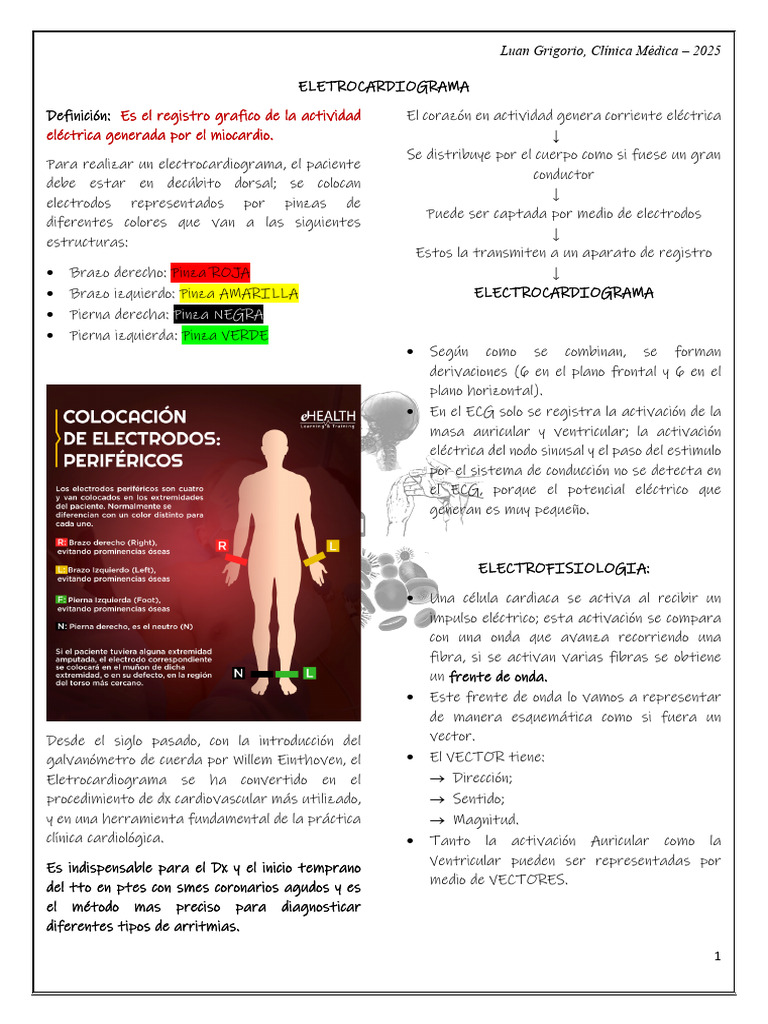 UT4 - ECG Normal | PDF | Corazón | Cardiología