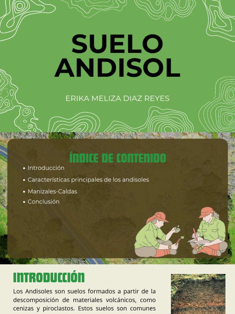 Suelo Andisol | PDF | Suelo | Volcán