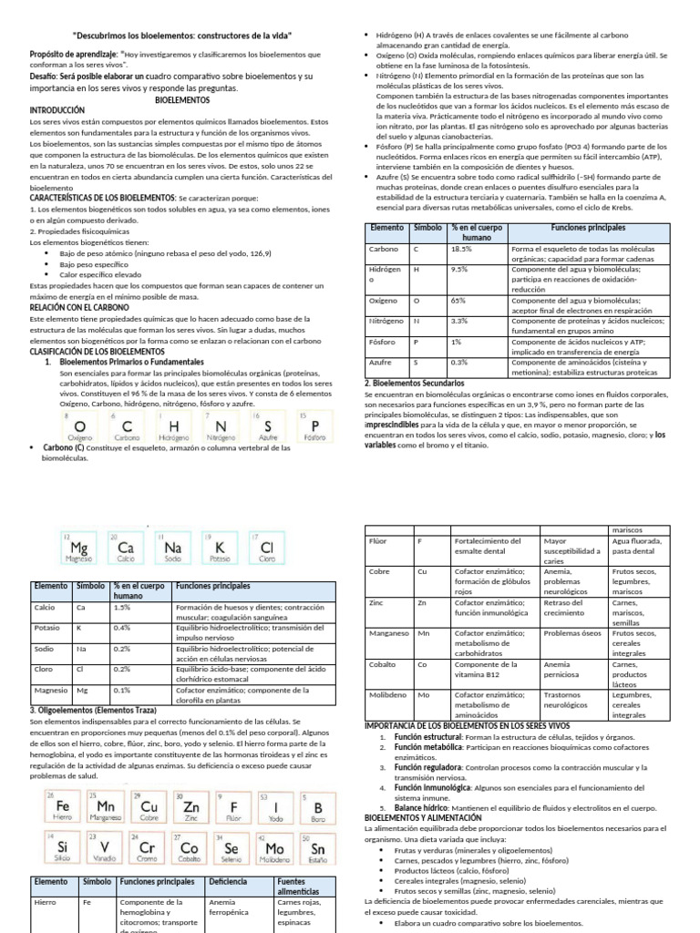 Descubrimos Los Bioelementos | PDF | Organismos | Proteínas