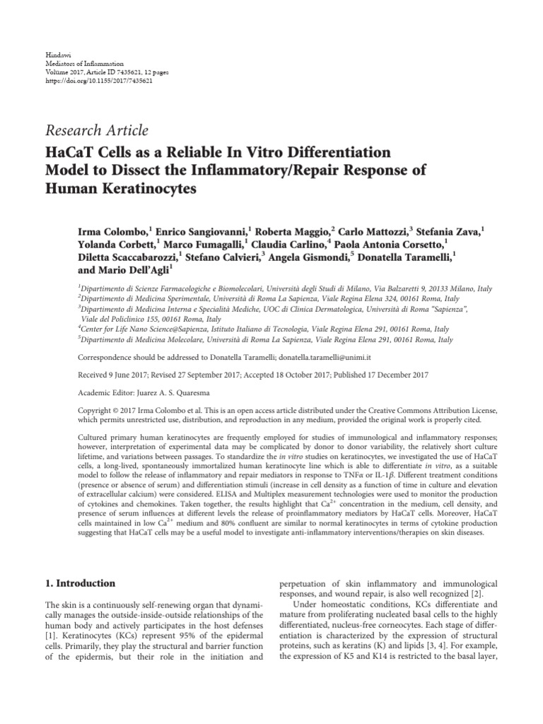 Hacat Cells | PDF | Epidermis | Skin