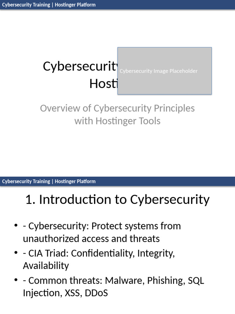 Hostinger Cybersecurity Training With Design | PDF | Security | Computer Security