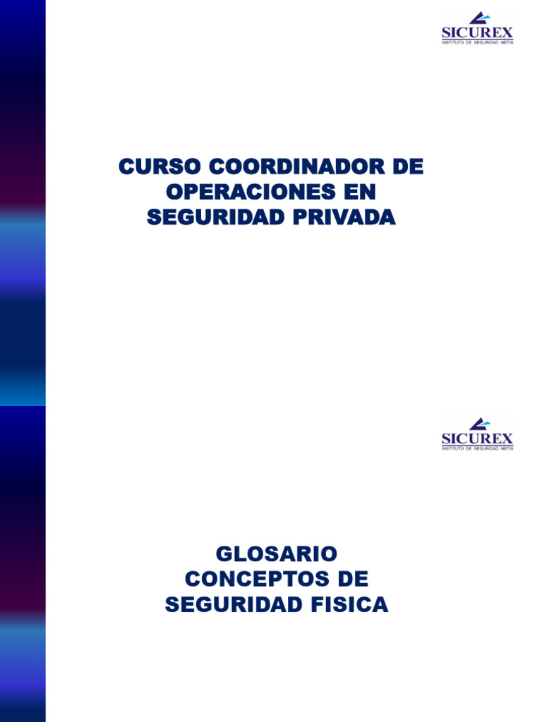 Conceptos Basicos de Seguridad Fisica | PDF | Valores | Riesgo