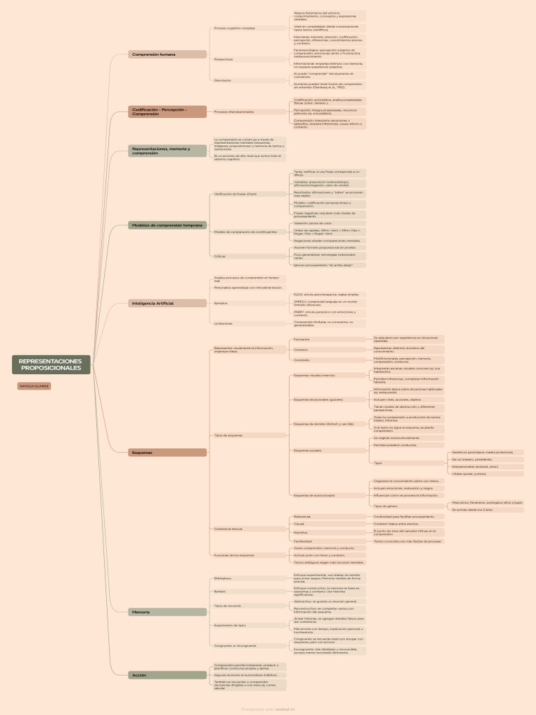 Resumen de Comprensión, Memoria y Esquemas | PDF