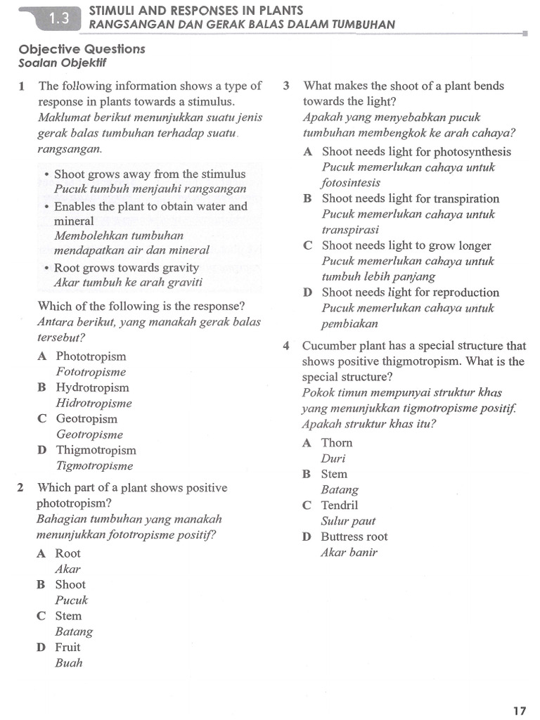 F3 SC CH1-B (Sap) | PDF
