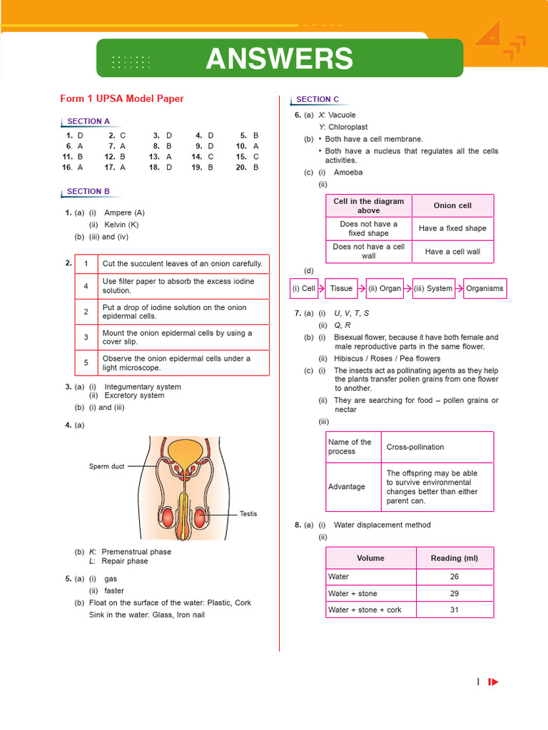 F3 SC UASA Pelangi Focus Answer | PDF | Chemical Reactions | Water
